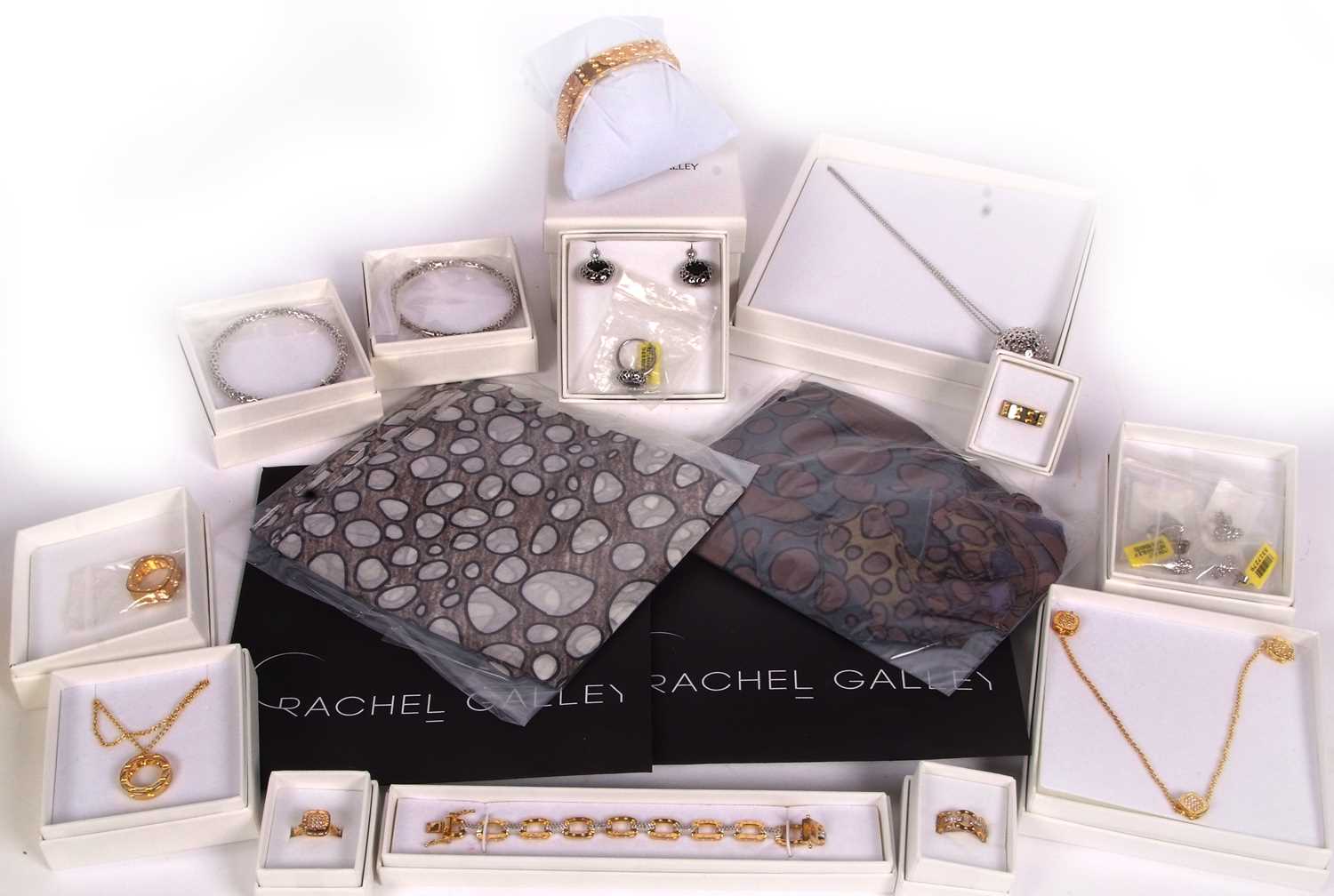 Lot 301 - A quantity of Rachel Galley jewellery, to